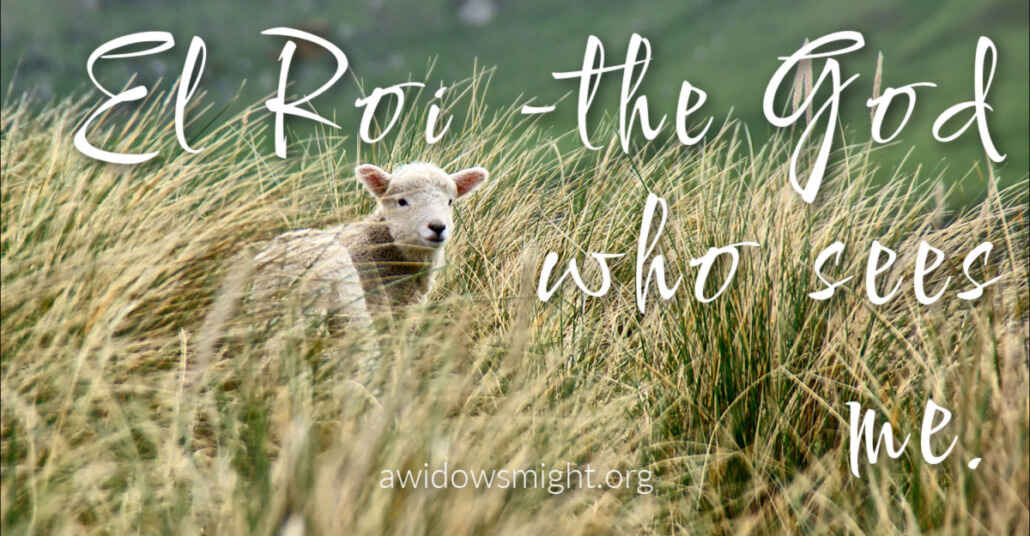 Do You Feel Invisible? | A Widow's Might