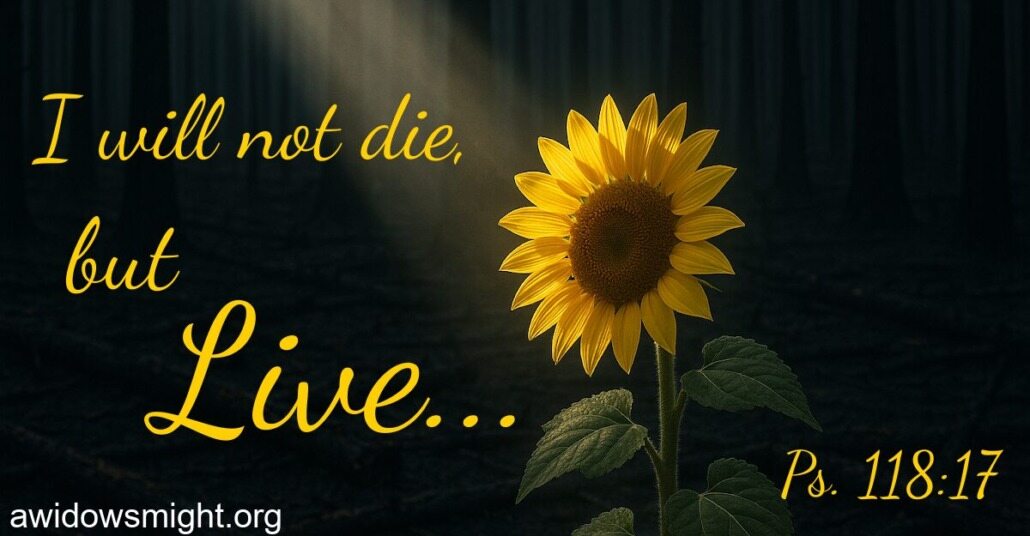 I Will Not Die | A Widow's Might