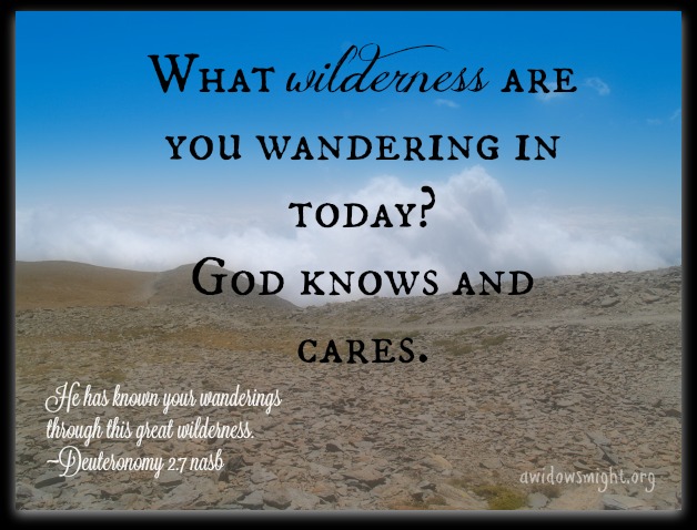 In My Wilderness Wanderings | A Widow's Might