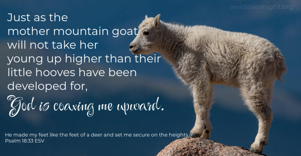 Goat Quotes