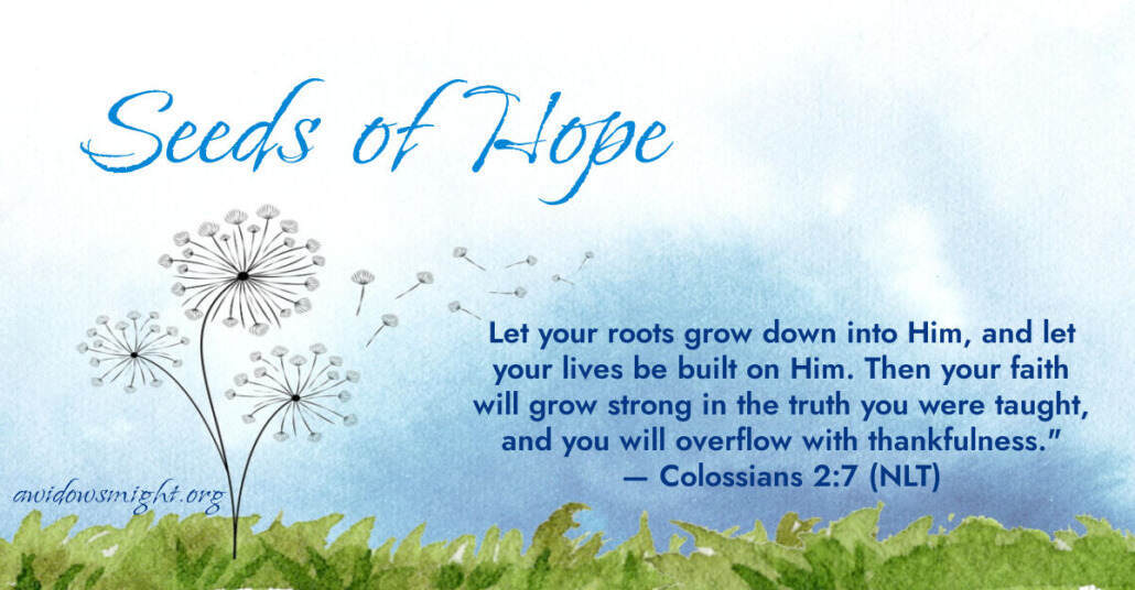 Seeds of Hope | A Widow's Might
