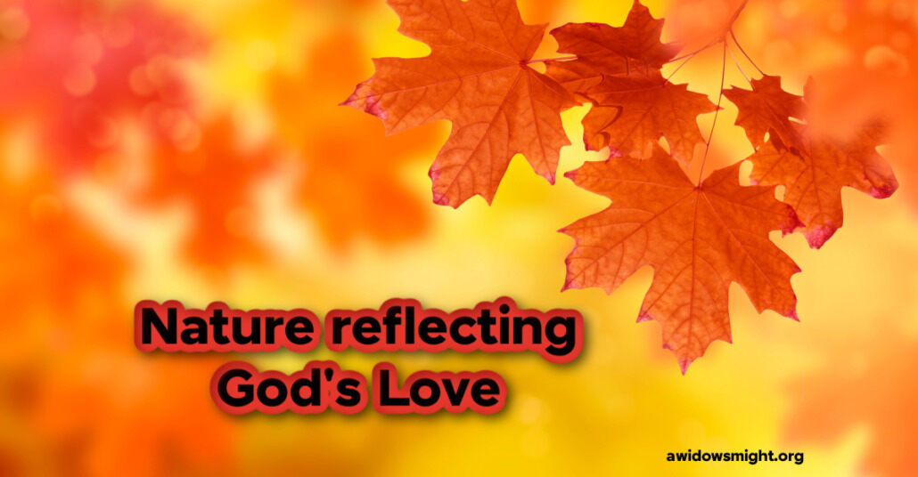 Seeing God’s Nature | A Widow's Might