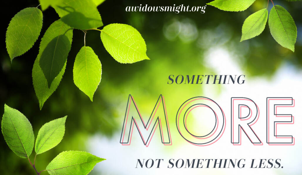 Something MORE not Something LESS | A Widow's Might