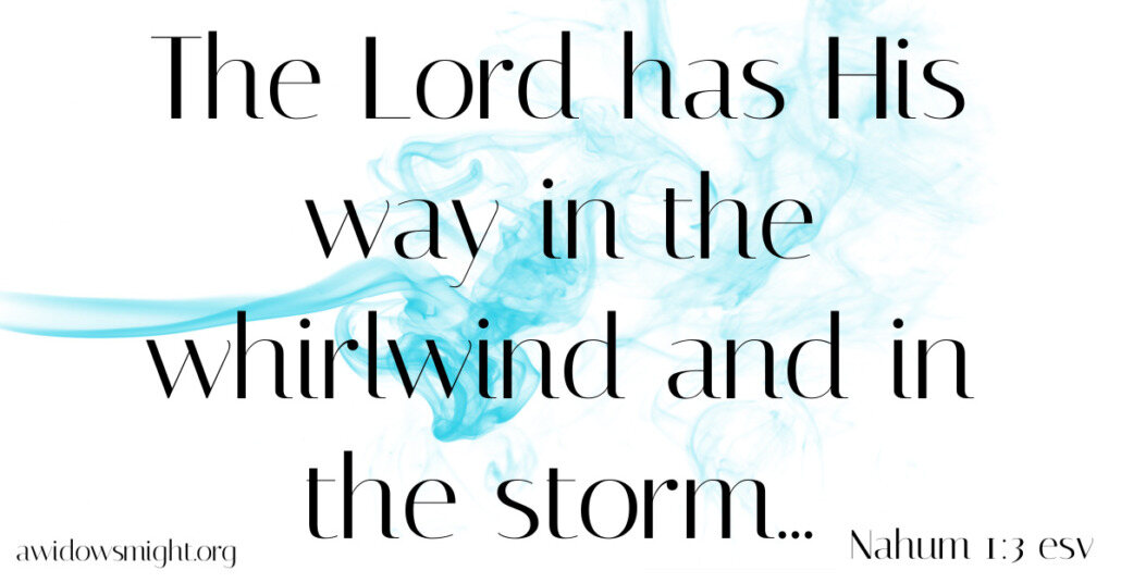 The Whirlwind and the Storm | A Widow's Might